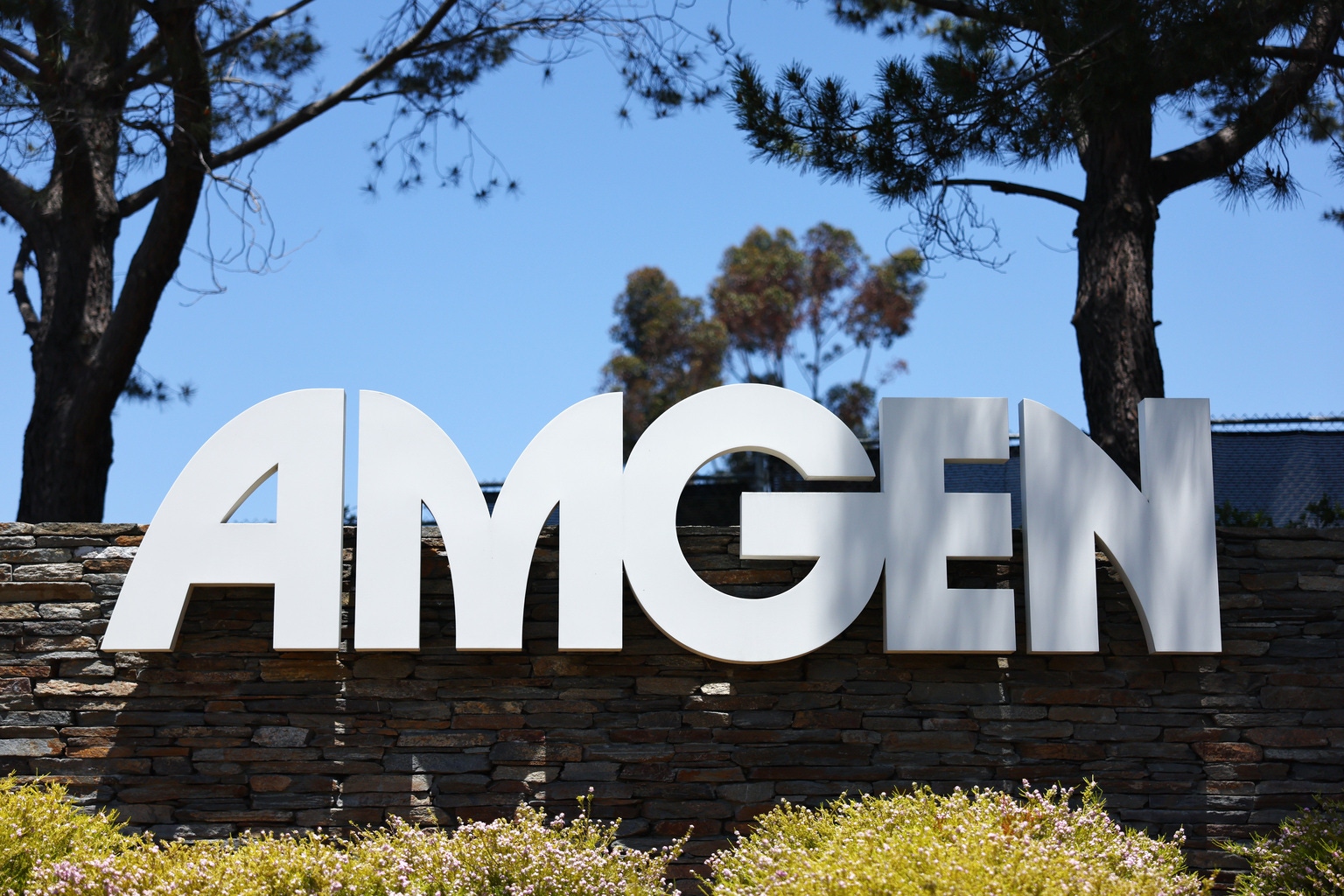 Amgen Stock: Still A hold, But Should Be On Your Watchlist (NASDAQ:AMGN ...