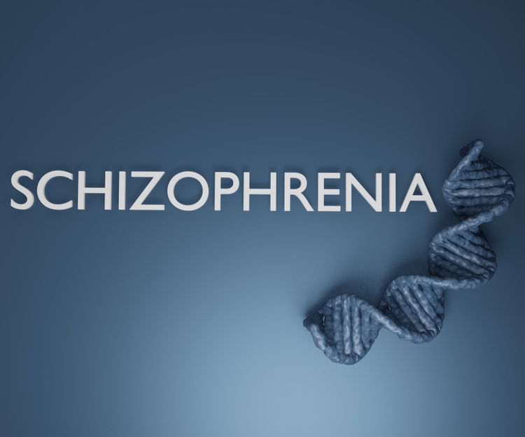 Bullfrog AI stock rallies 32% on early brain research results (NASDAQ ...