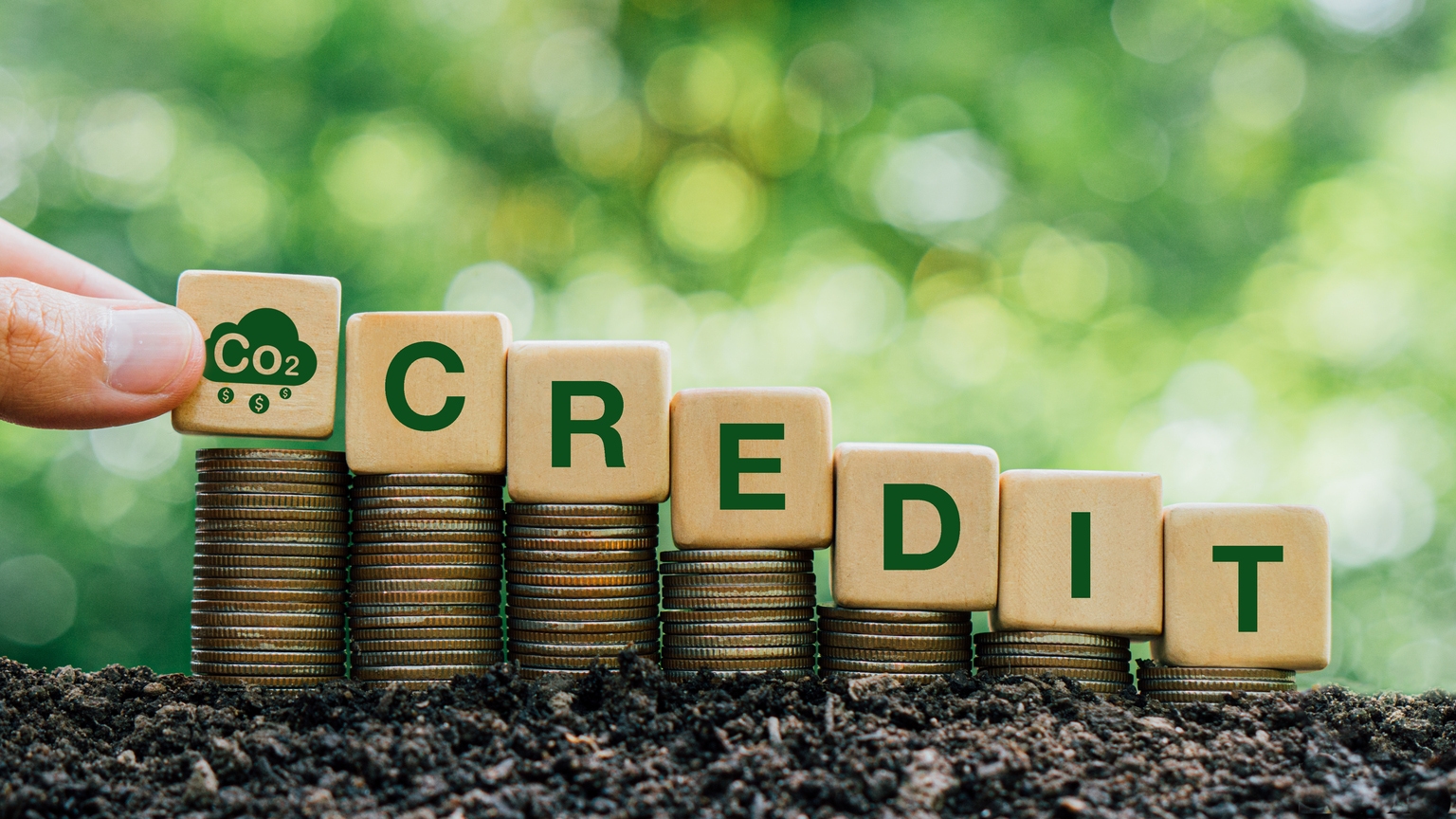 Franklin Intermediate Investment Grade Credit SMA Q4 2024 Commentary ...