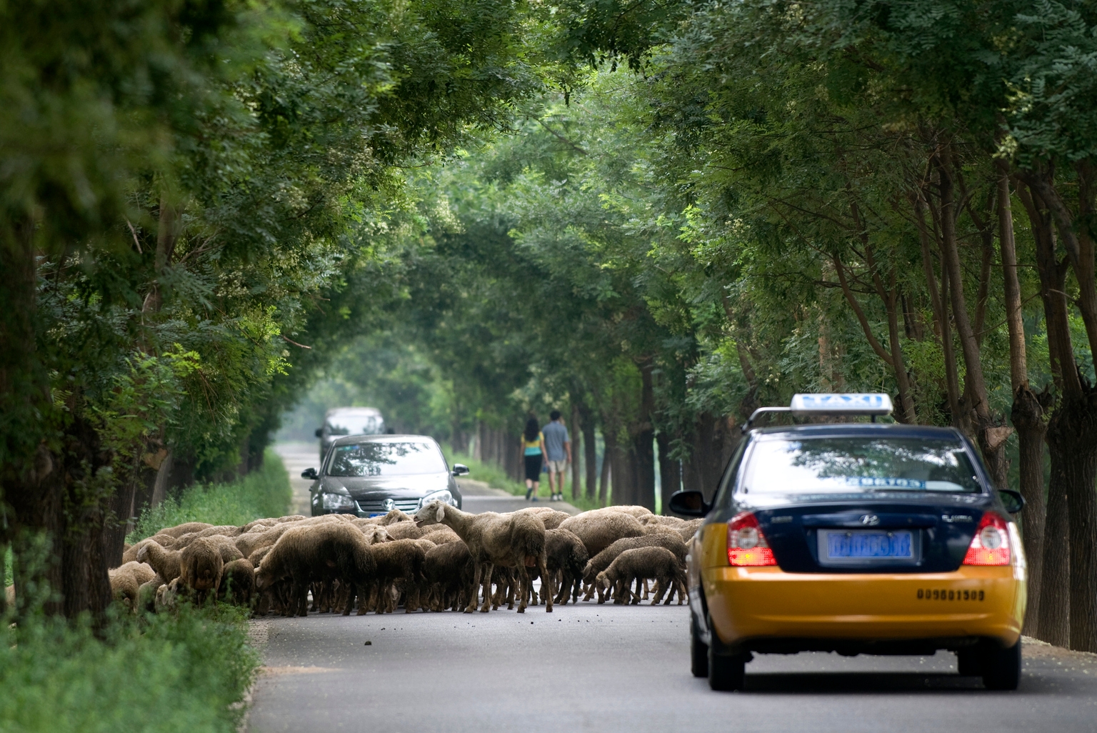 CEL-SCI: Stuck On Its First Next Step (NYSE:CVM) | Seeking Alpha