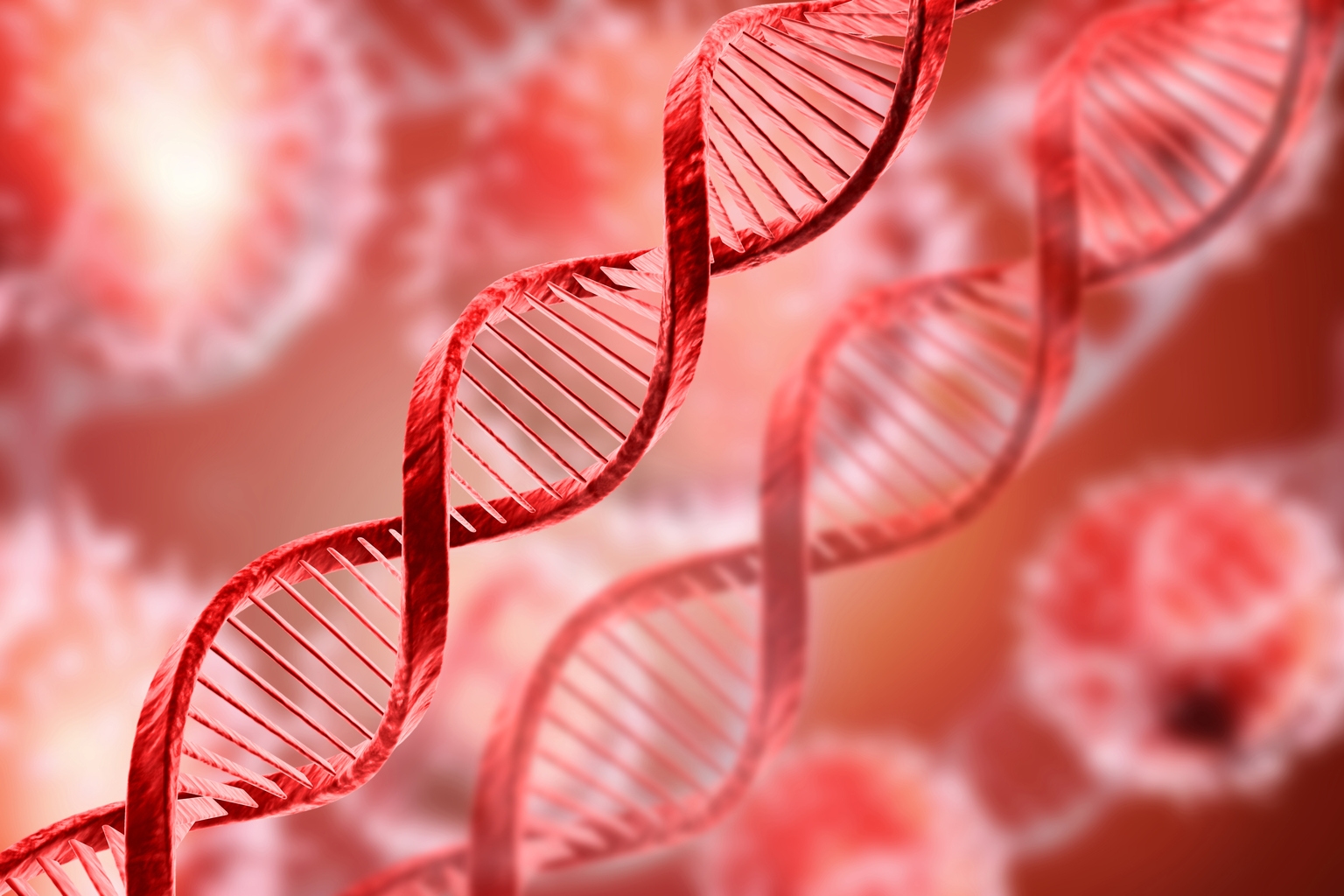 Kura Oncology: Targeted AML Therapy Continues To Deliver (NASDAQ:KURA ...