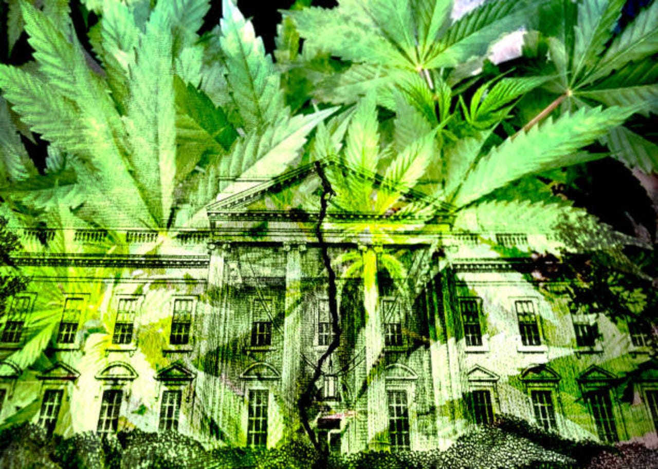 Biopharma, doctors sue Trump administration over marijuana rescheduling ...