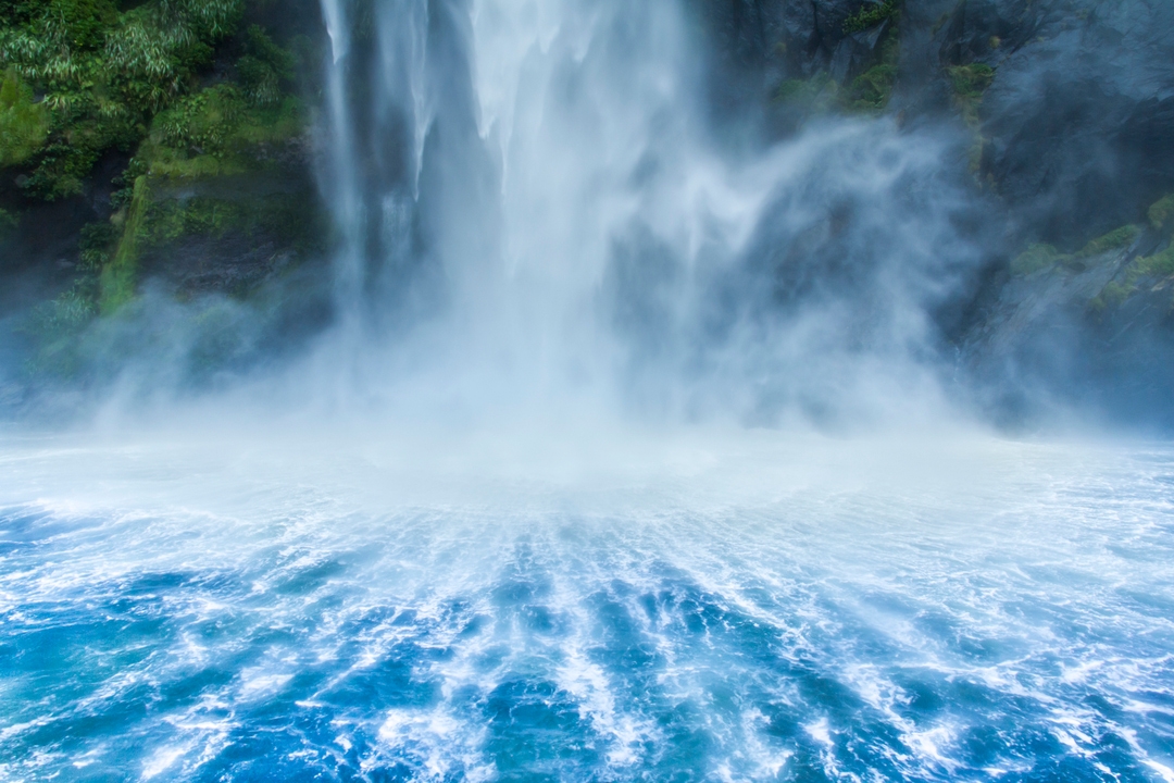 INmune Bio: An Opportunity In The Freefall (NASDAQ:INMB) | Seeking Alpha