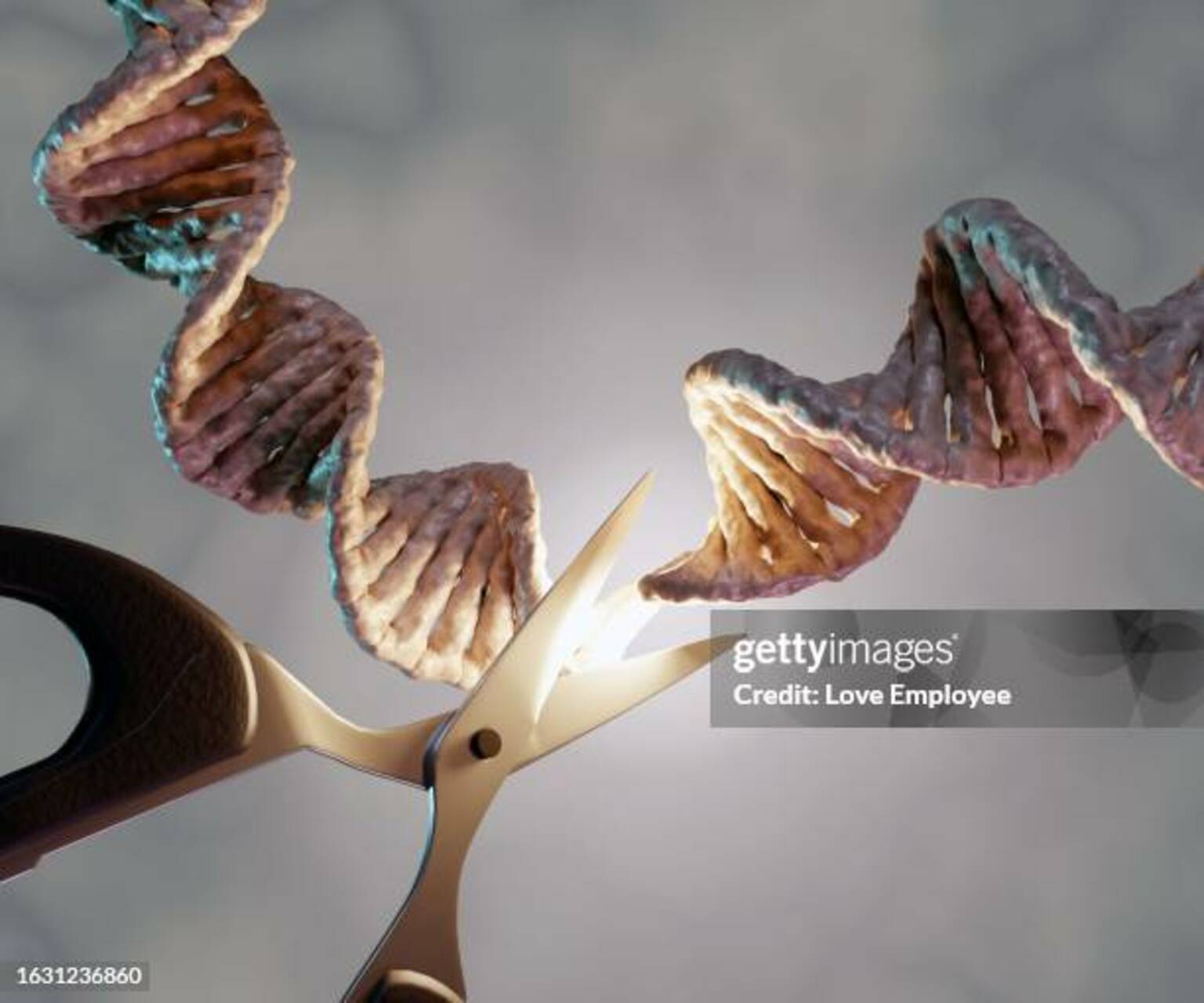 Lilly-Verve deal sends gene editing stocks higher (LLY:NYSE) | Seeking ...