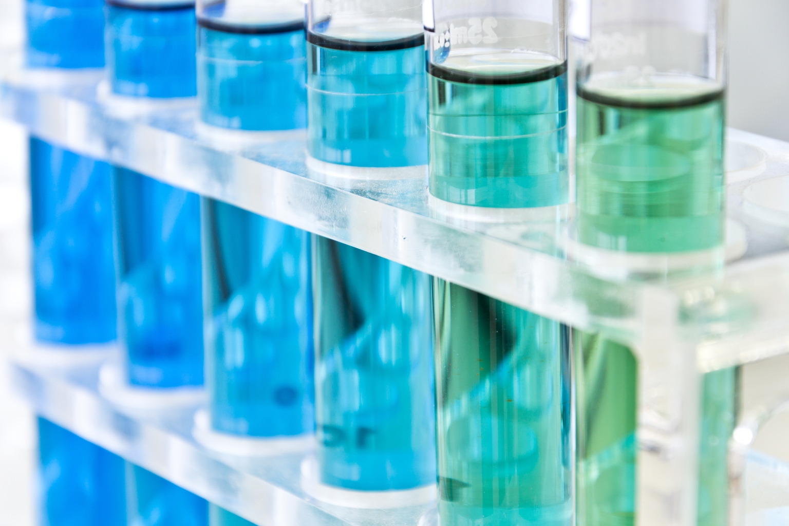 BioAtla: A Buried ADC Concern Gets Some New Life In 2024 (NASDAQ:BCAB ...