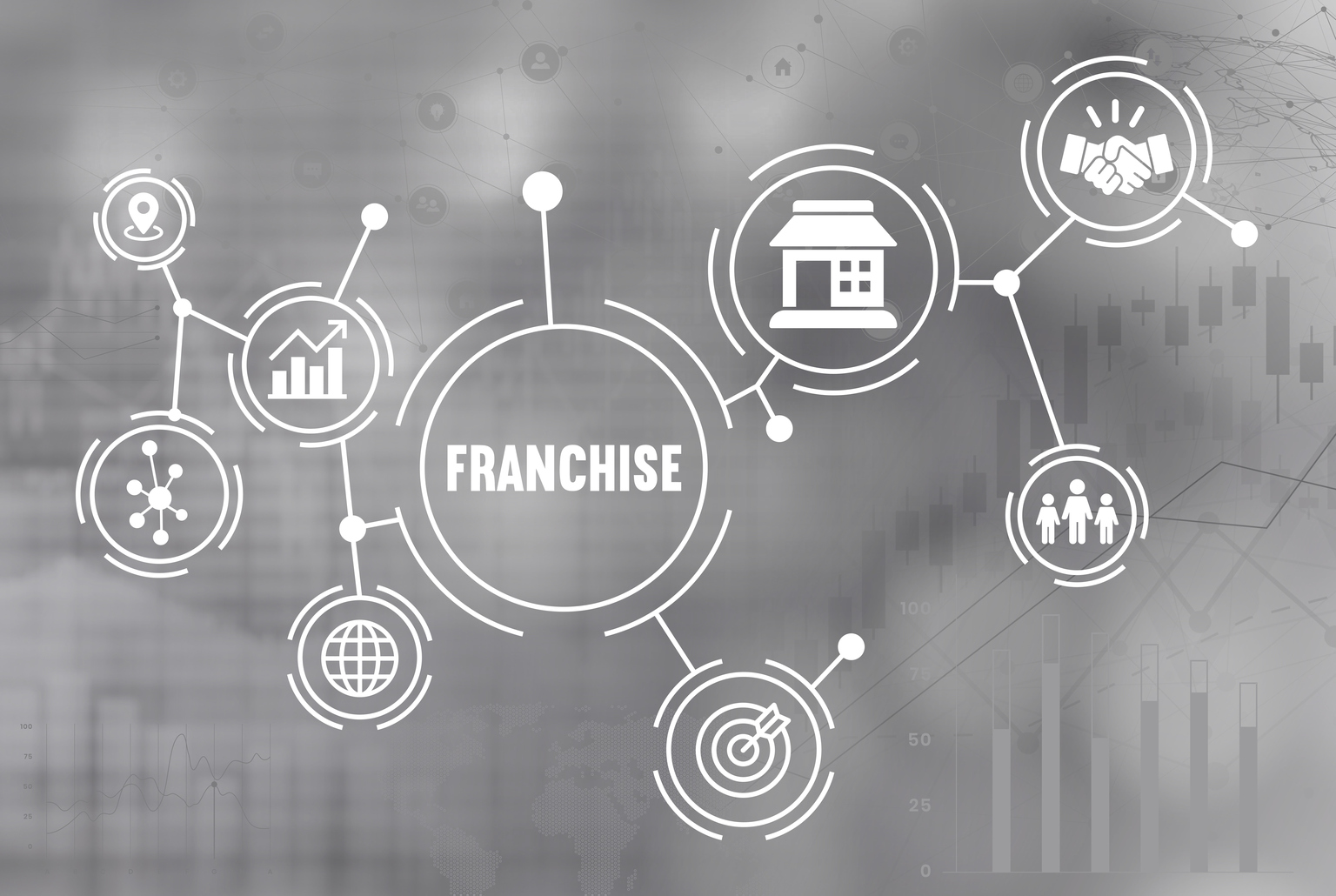 Lazard Equity Franchise Portfolio Q3 2024 Commentary (Mutual Fund:LZFIX ...