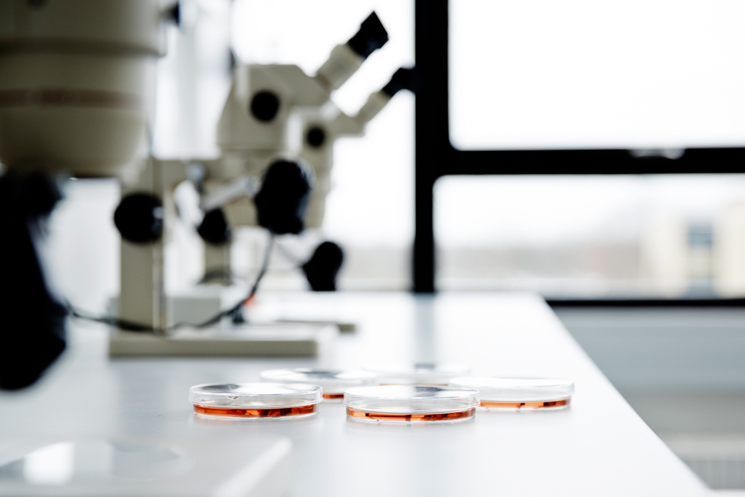 Satellos Bioscience: Promising Novel Treatment For Duchenne Muscular Dystrophy (TSX:MSCL:CA ...