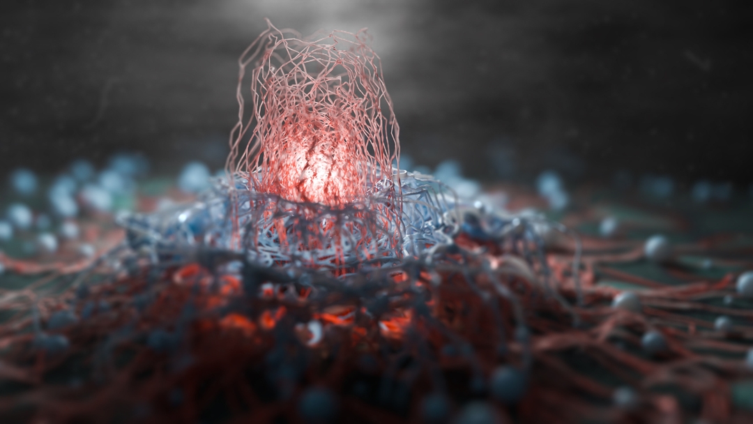 Immatics: Pioneering TCR Therapies In The Fight Against Cancer (NASDAQ ...