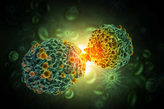 Bayer gets FDA nod for Nubeqa in advanced prostate cancer | Seeking Alpha