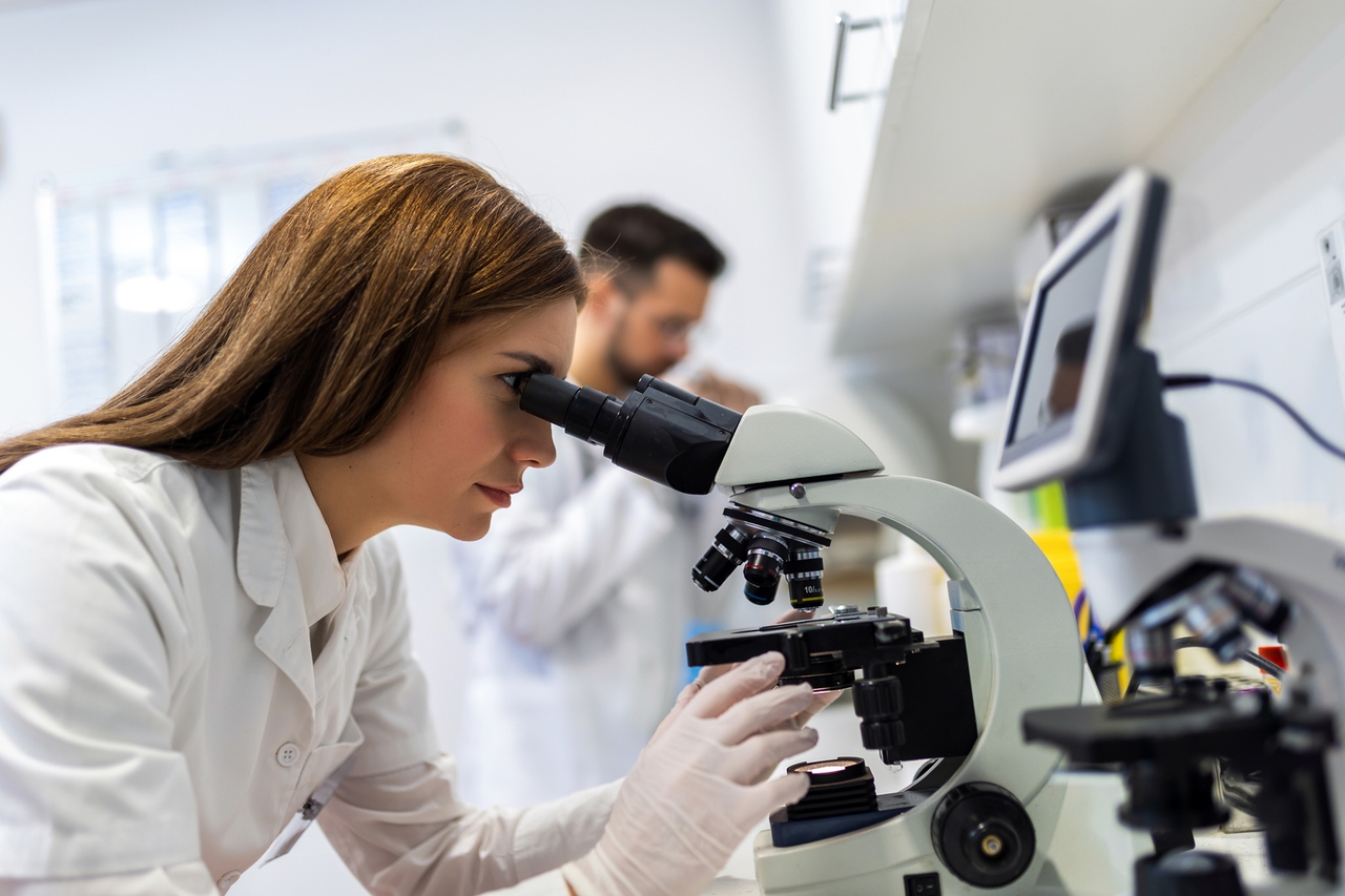 VistaGen: Positive Data Leads To Catalysts In 2024 And Beyond (NASDAQ ...