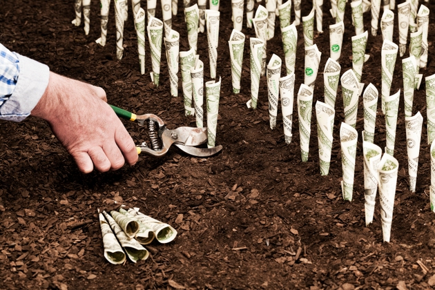 Green Plains: Time To Harvest The Greenbacks (NASDAQ:GPRE) | Seeking Alpha