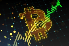 U.S. endowments add crypto holdings to diversify investments: FT ...