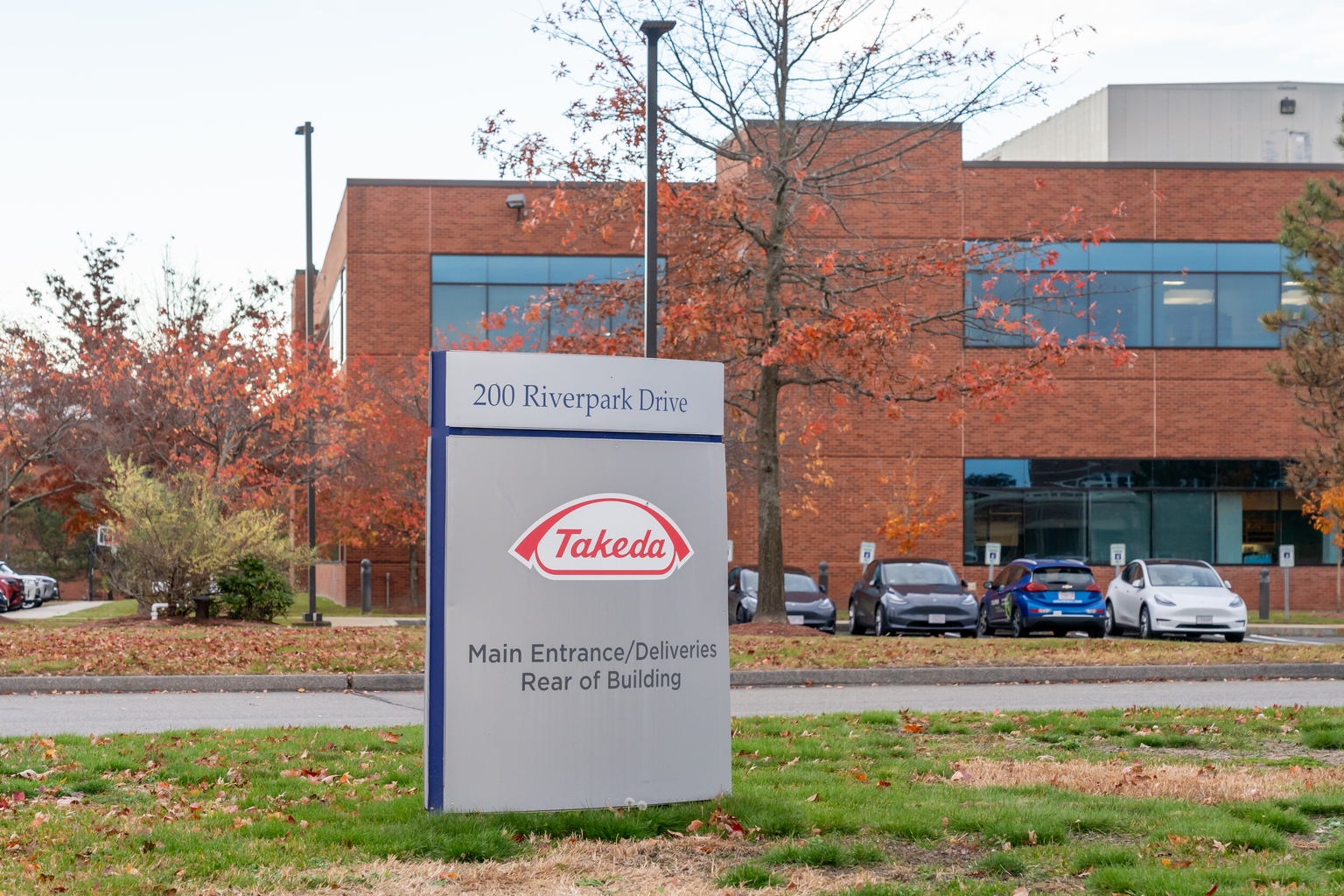 Takeda Pharmaceutical Company: Attractive Stock But Needs To Grow Net ...