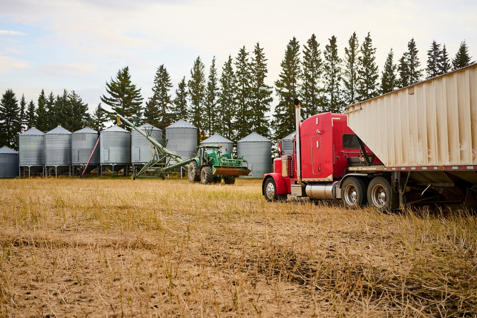 Update On MOO: Grain Prices Recover, A Bullish Sign (NYSEARCA:MOO ...