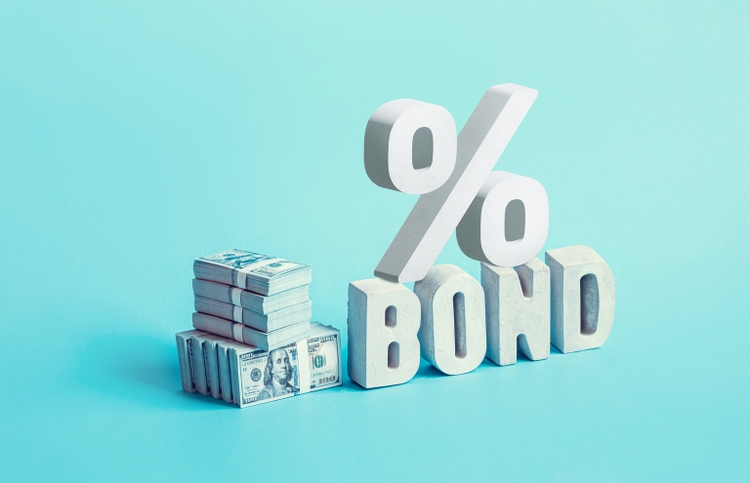 American Century Inflation-Adjusted Bond Fund Q2 2025 Commentary ...