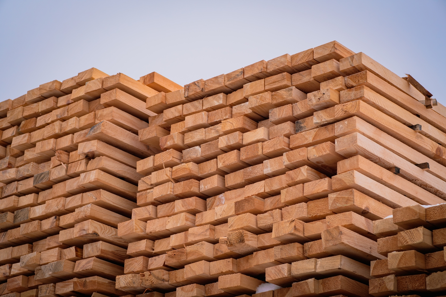iShares Global Timber & Forestry ETF: The Worst May Be Yet To Come ...