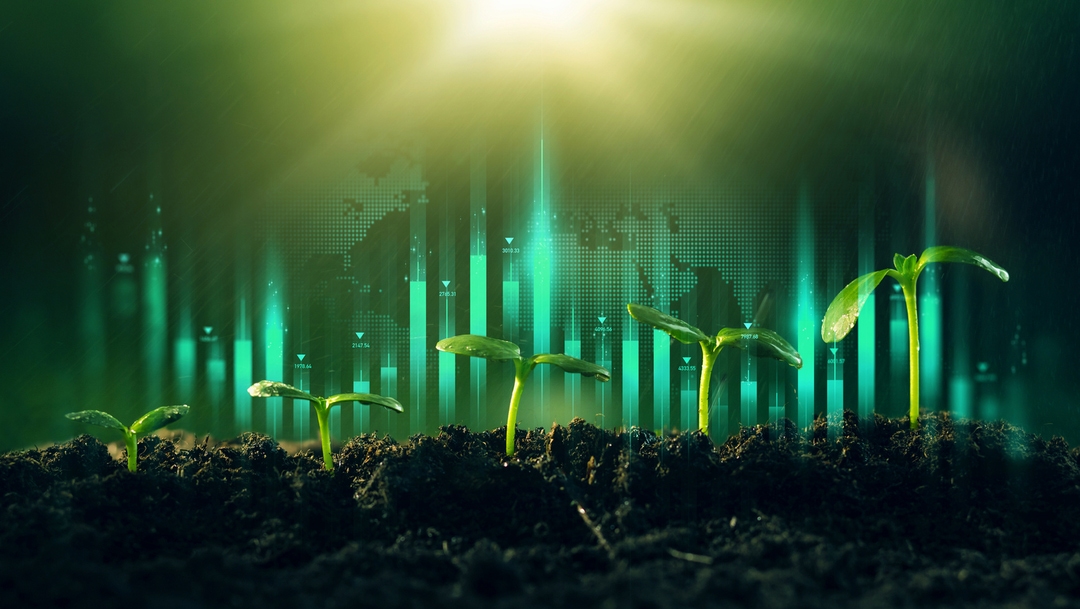 Fidelity Growth Company Fund Q3 2024 Review (undefined:FDGRX) | Seeking ...