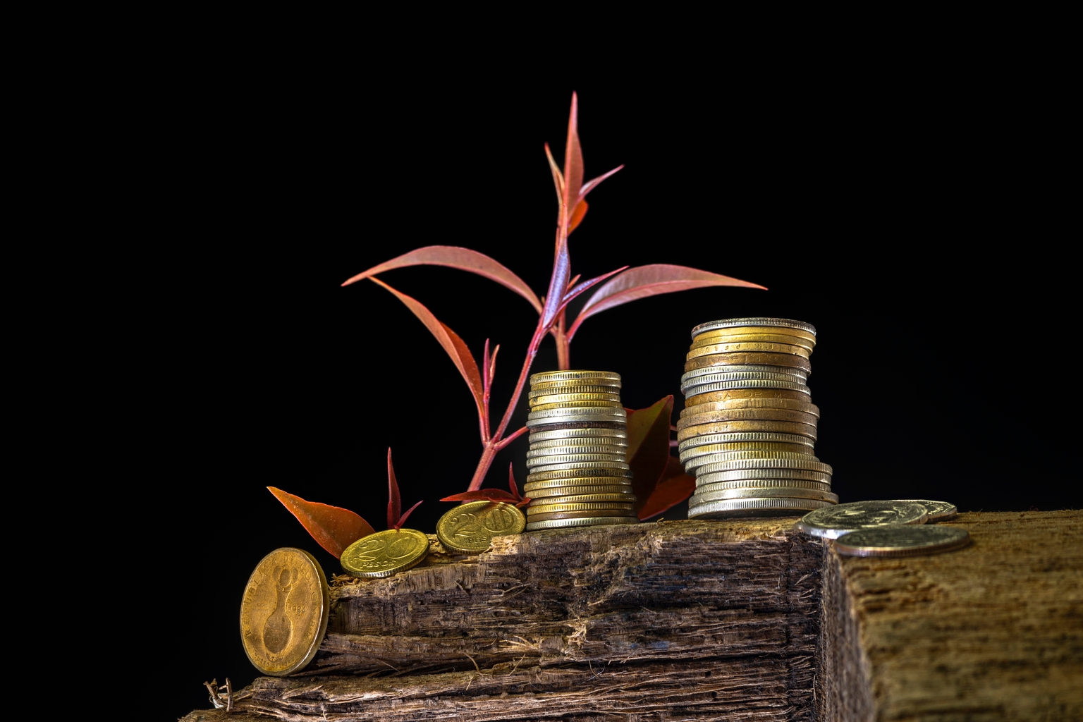 Columbia Dividend Income Fund Q1 2025 Commentary (GSFTX) | Seeking Alpha