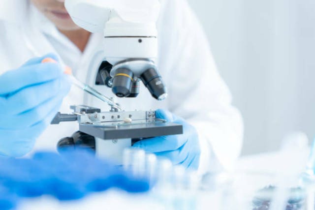 Roche shares hit milestone with 19% November surge on breast cancer and ...