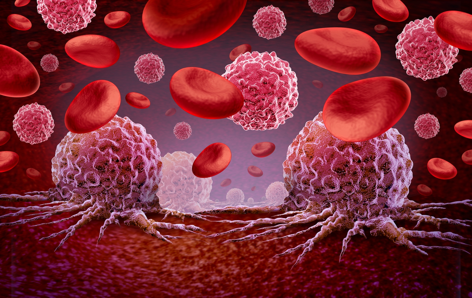 Syndax Pharma: Two Drug Launches Fuel Transformational Growth (NASDAQ ...