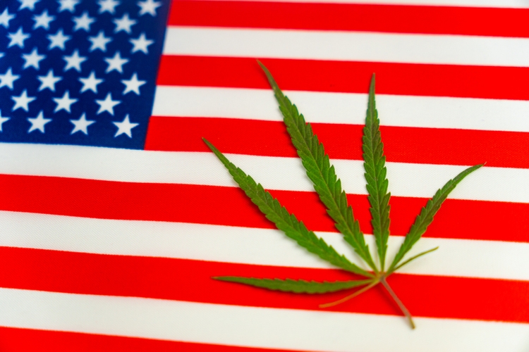 Curaleaf Opens Another Florida Dispensary (OTCMKTS:CURLF) | 420 ...