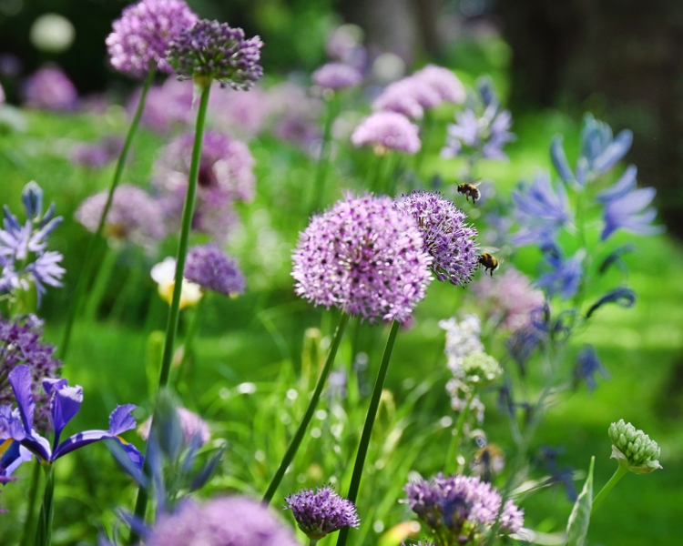 Weekly Picks: Busy Week Ahead! (NYSE:HR) | High Dividend Opportunities ...