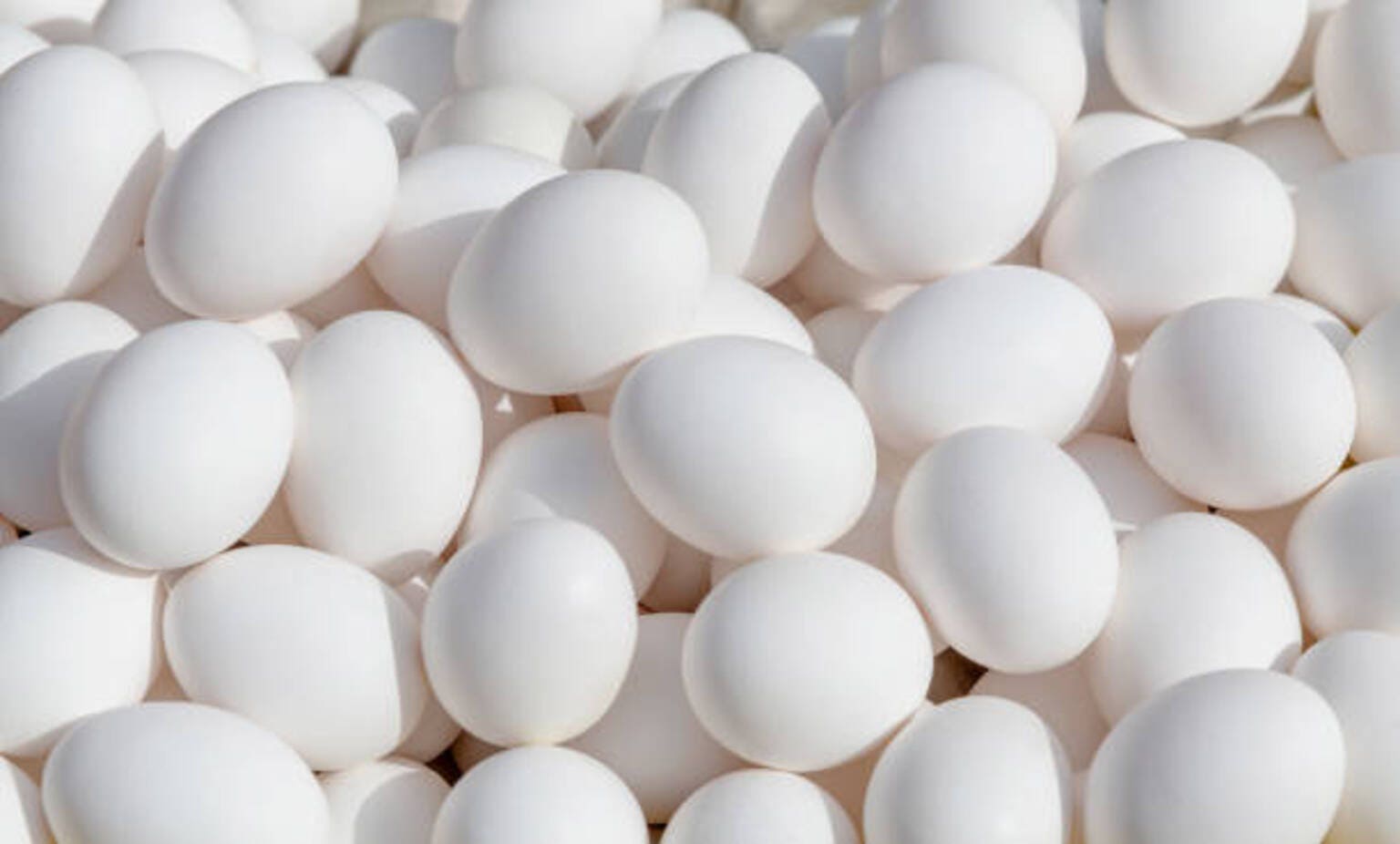 Cal-Maine Foods May Be Undervalued Because Its Recent Acquisition Isn't ...