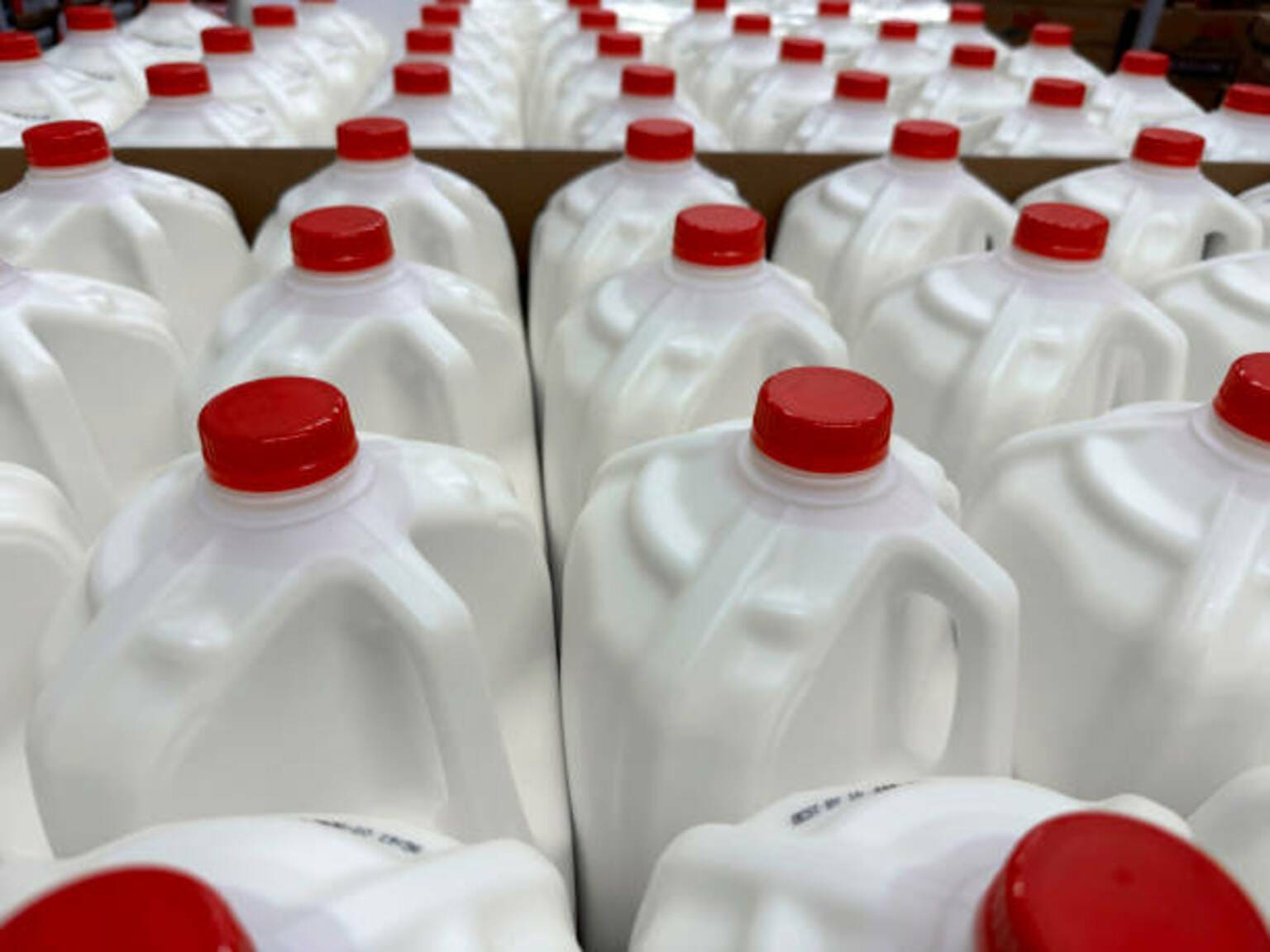 FDA suspends milk quality testing due to staffing reductions (DBA ...