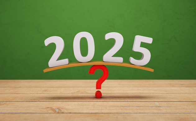 2025 Rebalance: Managing Valuation Risk With Earnings Weighting ...