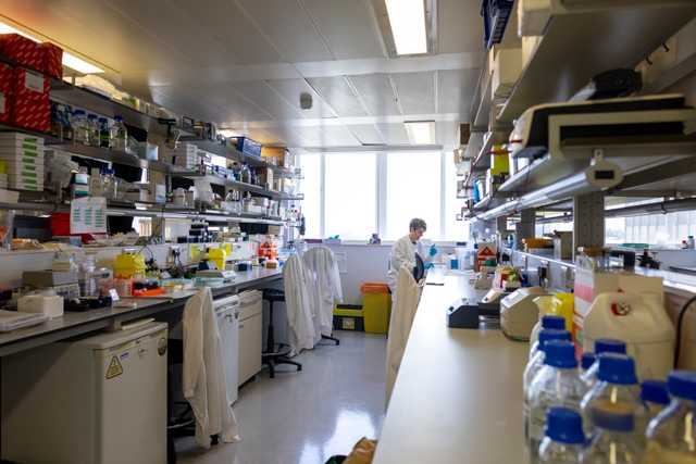 Vera: Potential First Of Atacicept As A B-Cell Modulator For IgAN ...