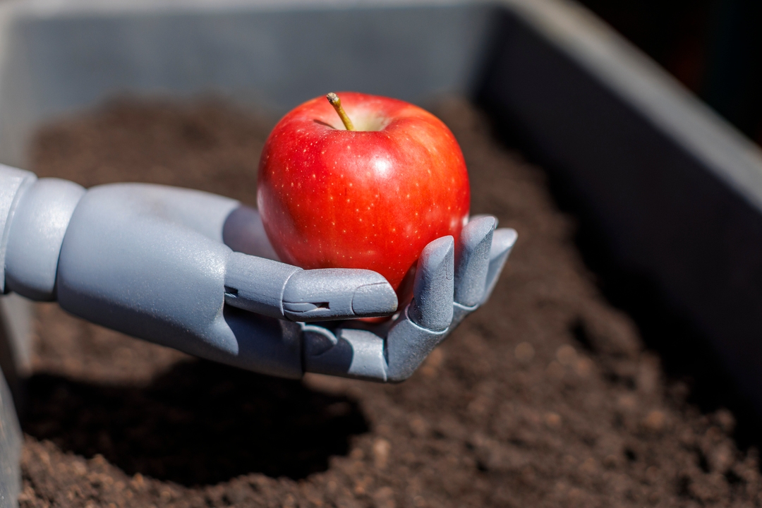 Alphabet Vs. Apple: 2 'Differently Similar' Ways To Navigate AI, 1 ...
