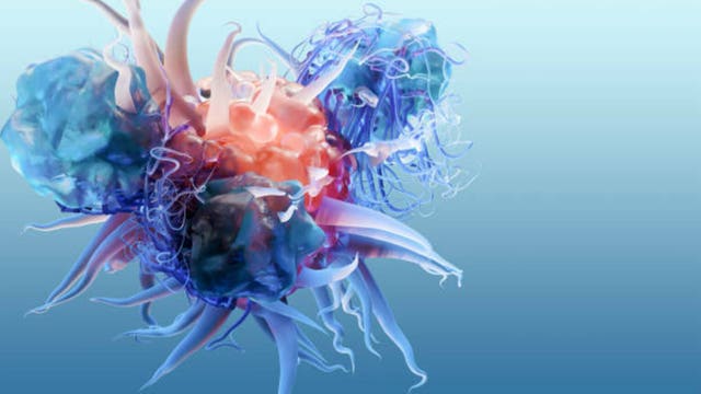 Astra, Daiichi get U.S. breakthrough status for Enhertu (AZN) | Seeking ...