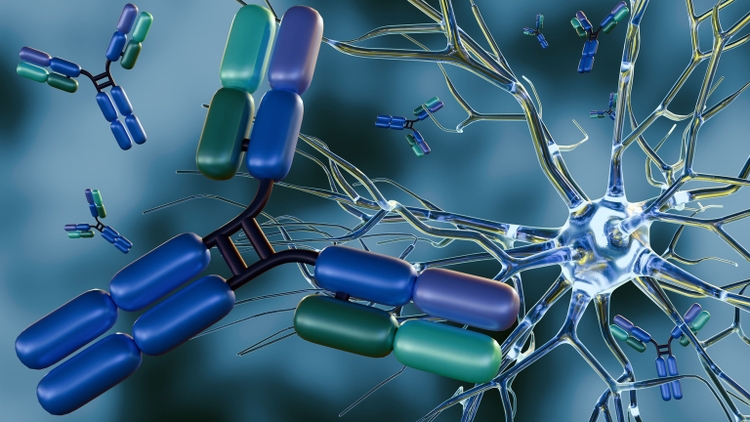 Amylyx Pharmaceuticals upgraded to Outperform at Baird, shares rise ...