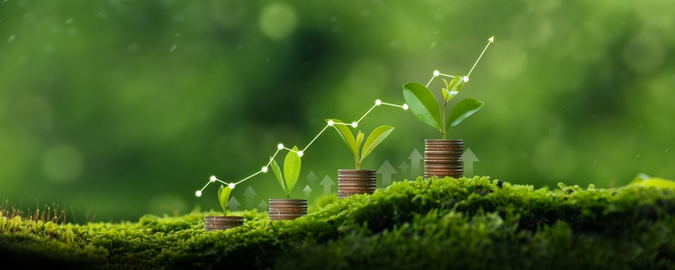Janus Henderson Mid Cap Growth Managed Account Q1 2026 Commentary ...