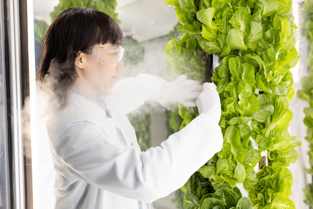 Lexeo: Alignment Gained With FDA Brings Further LX2006 Program ...