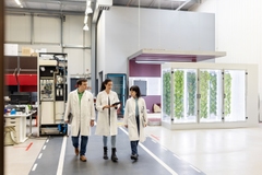 Celldex: Despite Dropping Eosinophilic Esophagitis Program ...