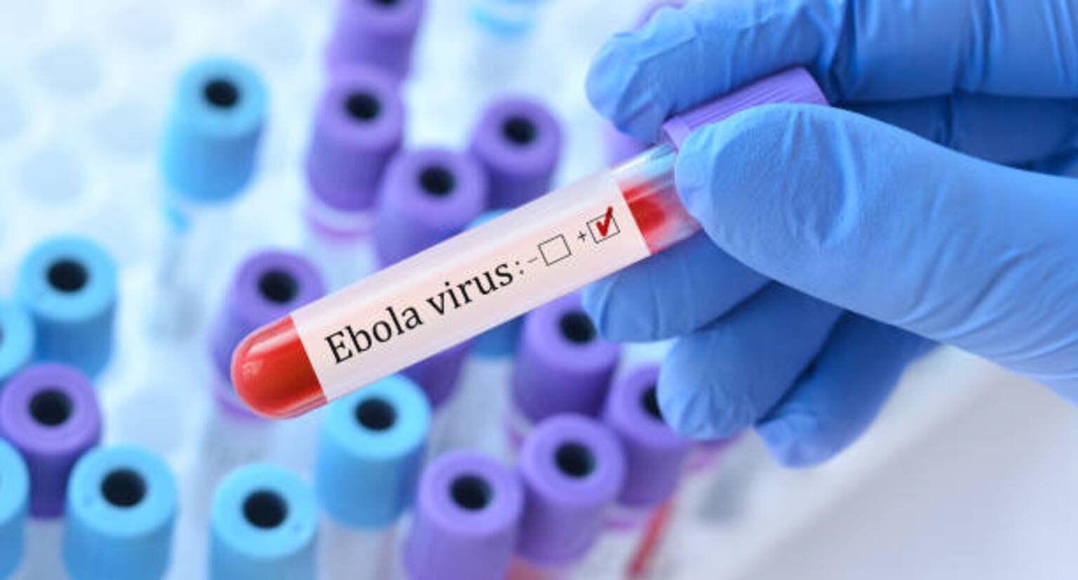 WHO warns Ebola outbreak could worsen | Seeking Alpha