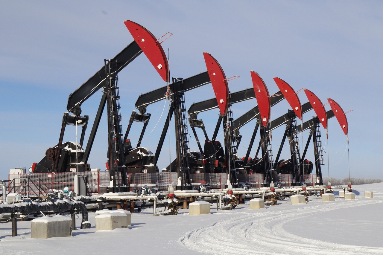 Lotus Creek Exploration: Overlooked Oil Spin-Off Insiders Are Buying ...