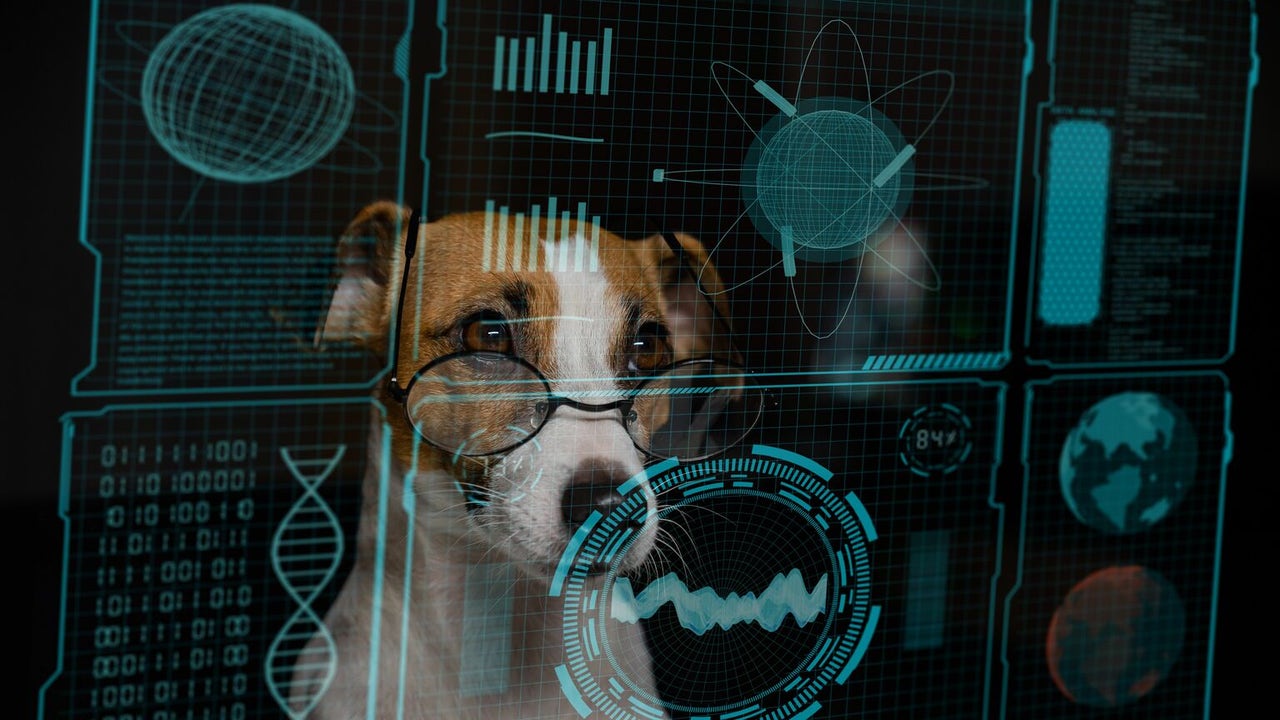 Datadog Stock: Great Prospects Are Fully Priced In (NASDAQ:DDOG ...