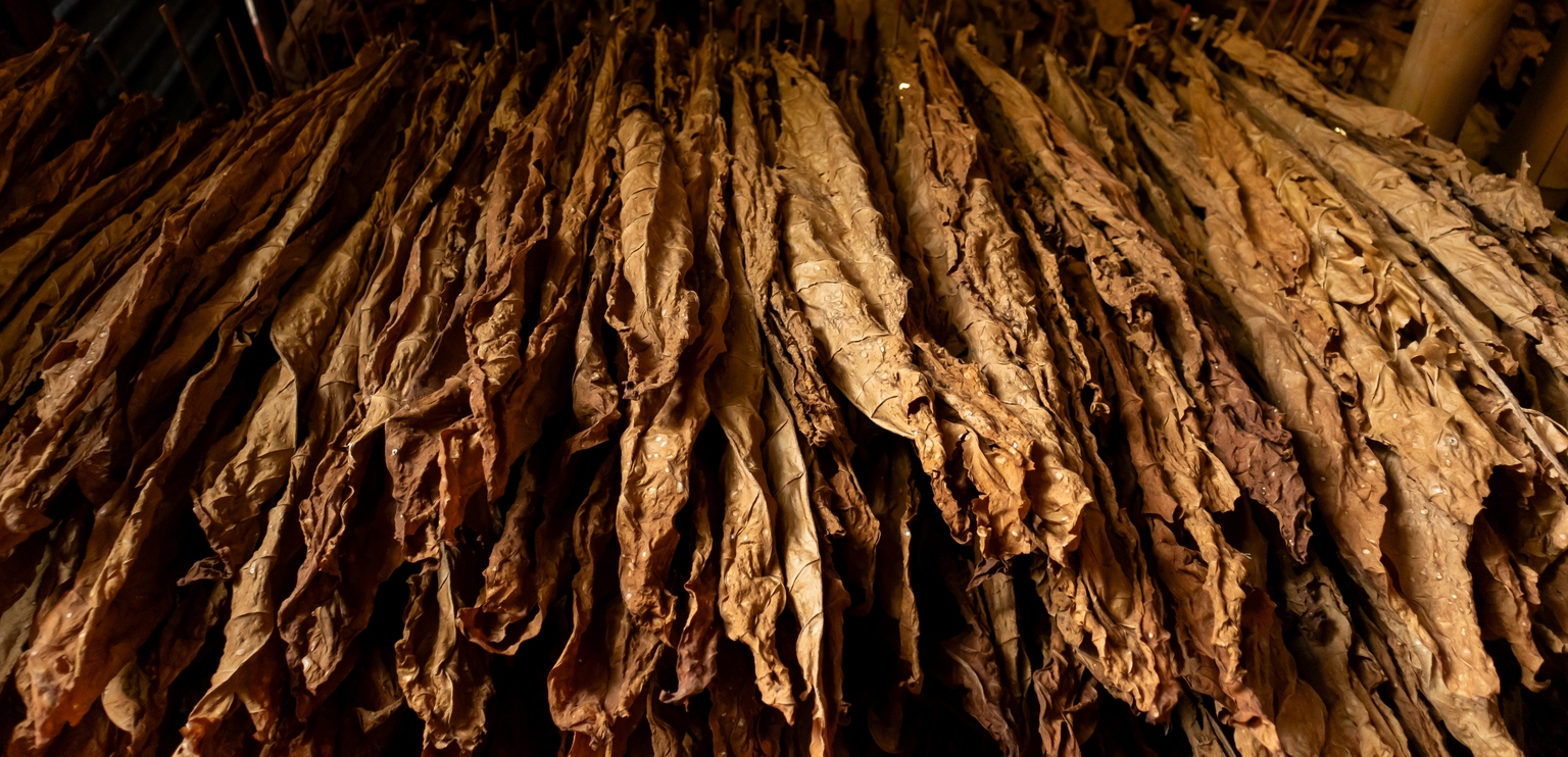 Universal Corporation: Diversification Driving Our Buy Call (NYSE:UVV ...