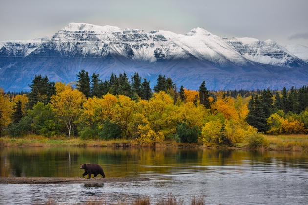 First National Bank Alaska: A Fortress In The Last Frontier, But Priced ...