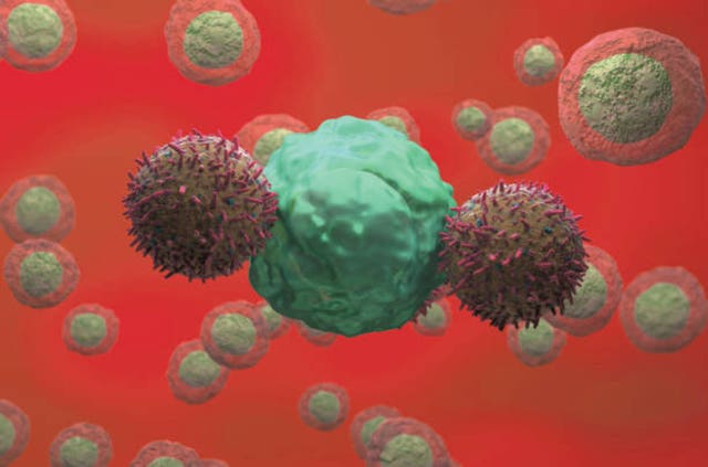 Ginkgo Bioworks slumps 14% after projecting FY26 cash burn of $125M ...