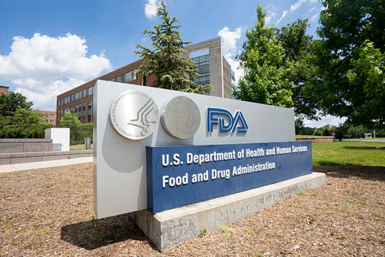 FDA taps Richard Pazdur to lead key drugs office at agency | Seeking Alpha