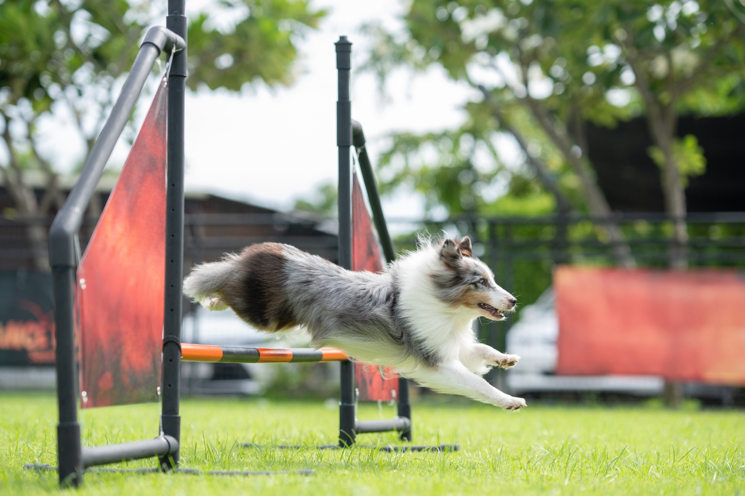 Where Fat Yields Meet Lower Risk | Seeking Alpha