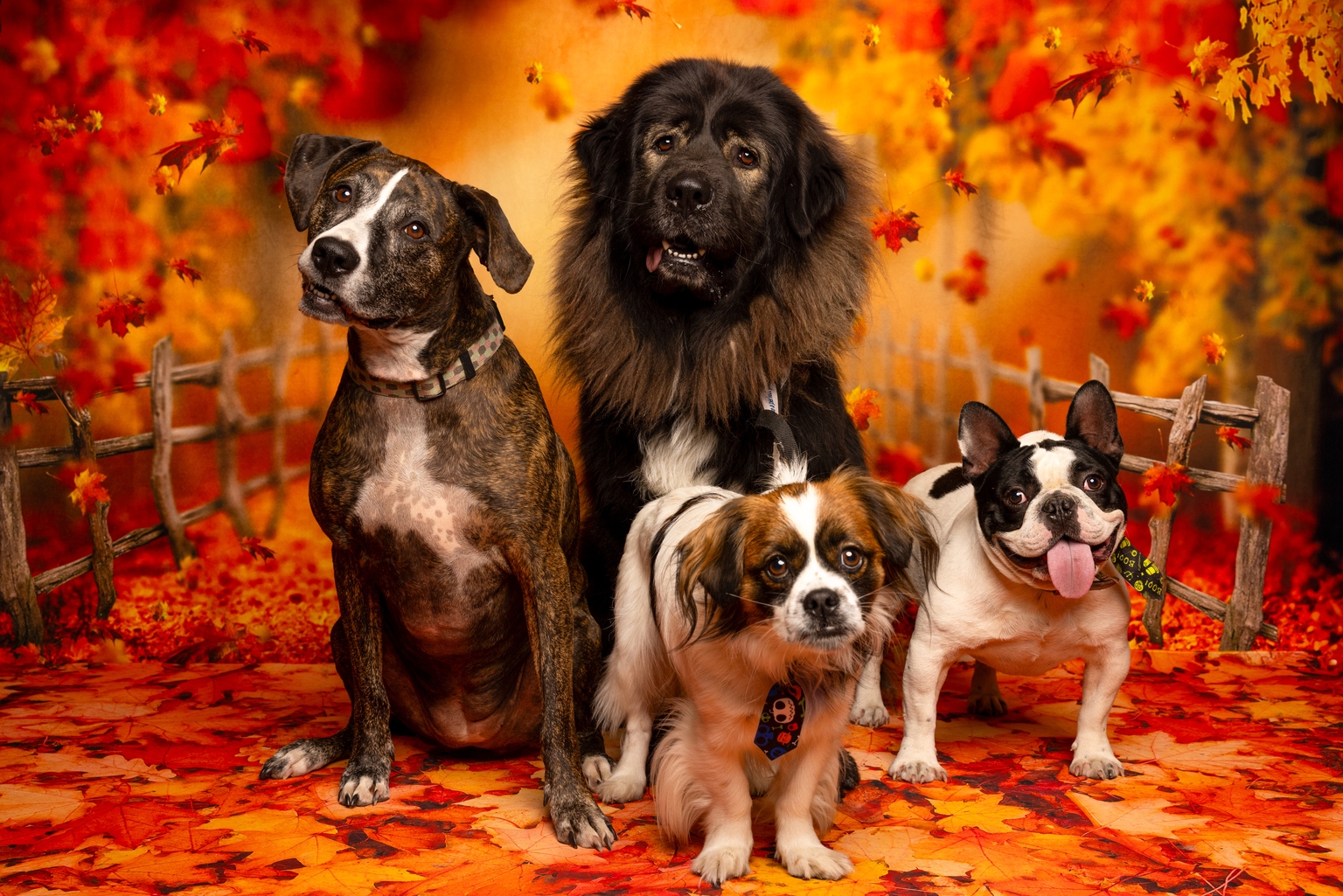 100 Barron’s Sustainable Dividend Dogs: 4 Ideal October Buys; 9 To ...