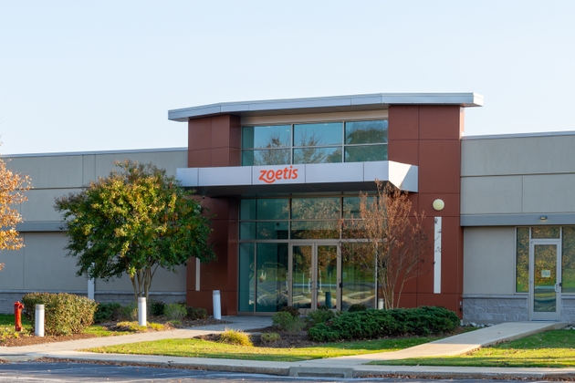 Zoetis Stock: Q1 Review, Is A Darkened Outlook Cyclical Or Structural ...