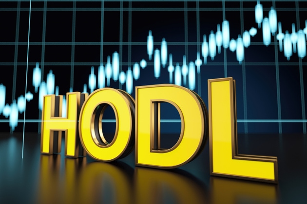 HODL: Bitcoin Showing Clear Signs Of Intrinsic Value? (BATS:HODL ...