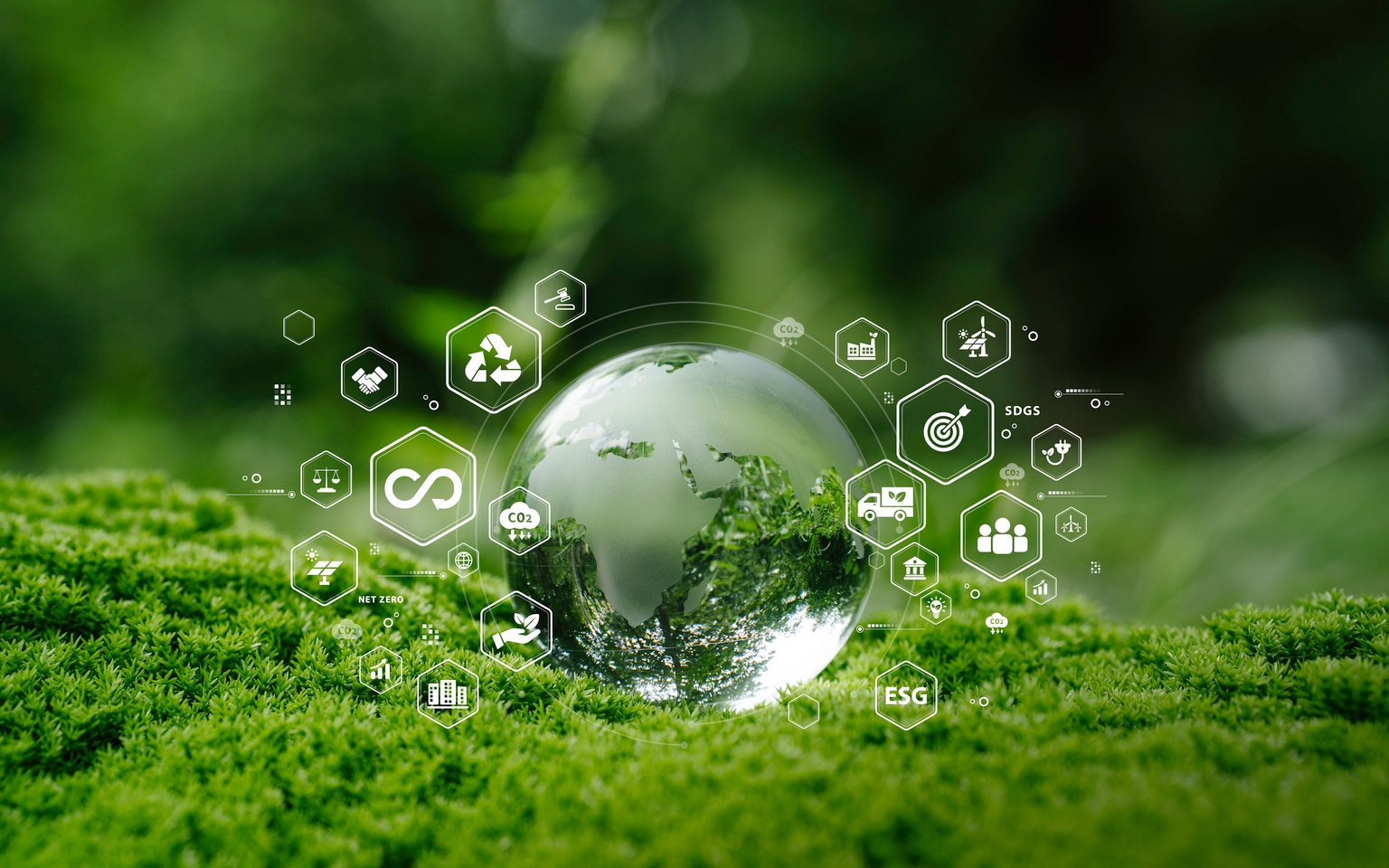 ClearBridge SMID Cap Growth Strategy Q2 2025 Commentary | Seeking Alpha