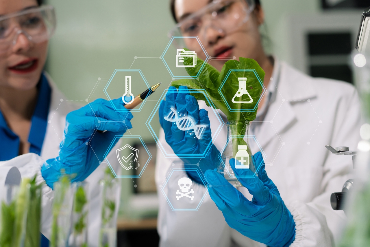 Immuneering: Positive Pancreatic Cancer Data Atebimetinib Leads To Q4 2025 Catalyst (IMRX ...