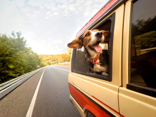 SPMO: Quant Says It's Always A Buy, I Do Too (NYSEARCA:SPMO) | Seeking ...